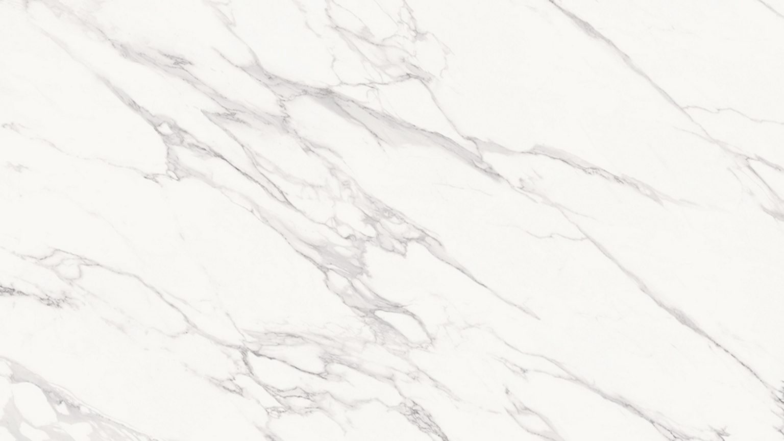 Level Statuario Michelangelo Porcelain - Euro Stone Craft